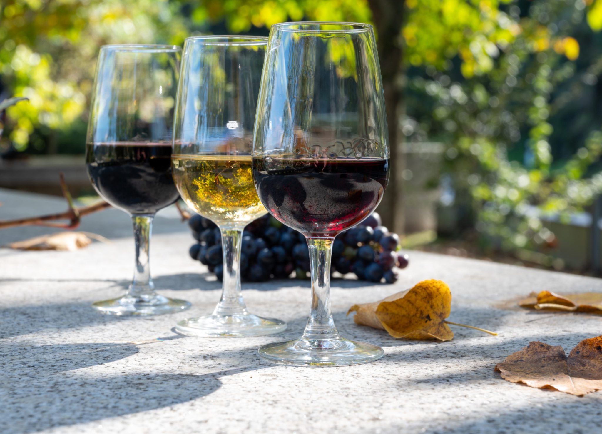 Sintra Wine Region (Colares): 3 Wineries to Visit – Sintra Portugal